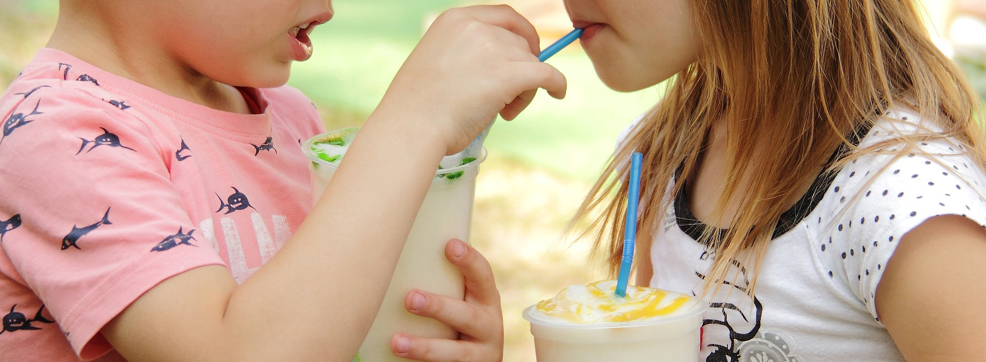 Prebiotics: FOS + GOS